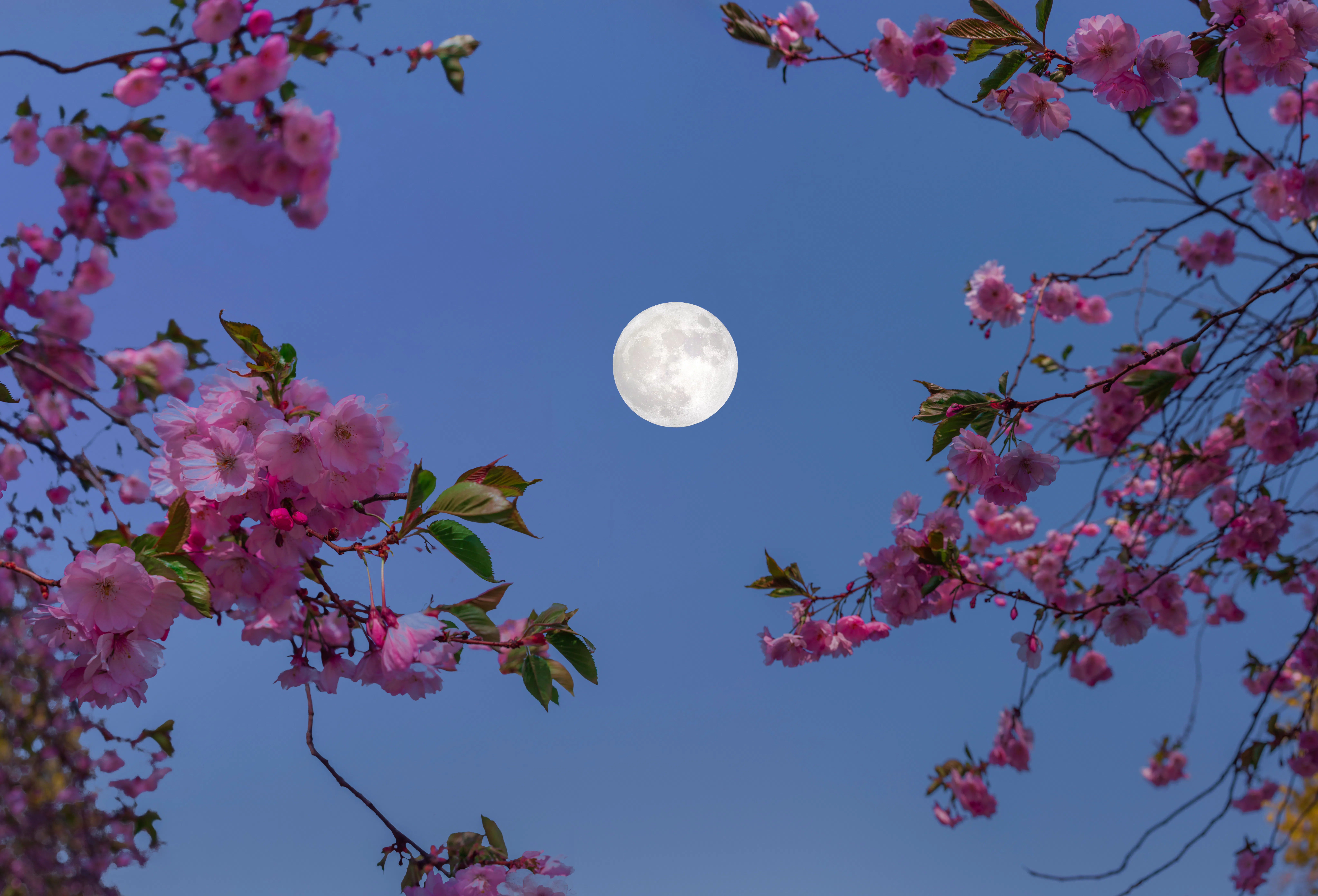 The May 31, 2026 Full Blue Moon’s Spiritual Meaning