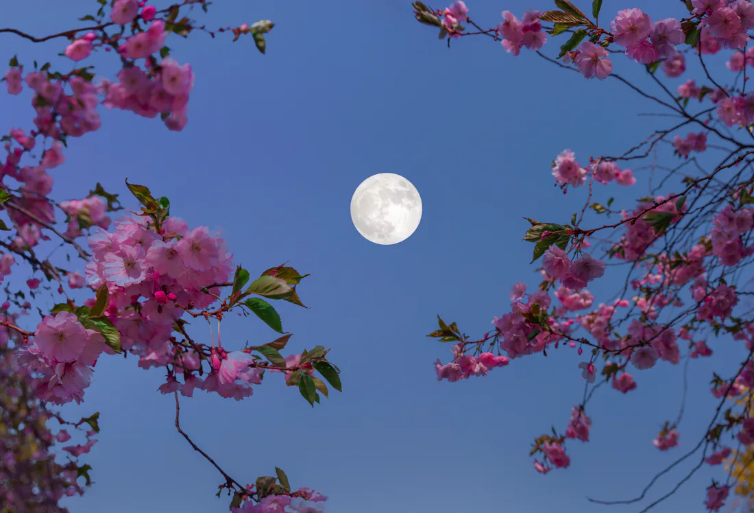 The May 31, 2026 Full Blue Moon’s Spiritual Meaning