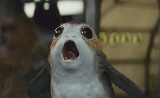 ‘Star Wars’ Porg Memes That Will Brighten Your Day Whether You’re A Fan ...