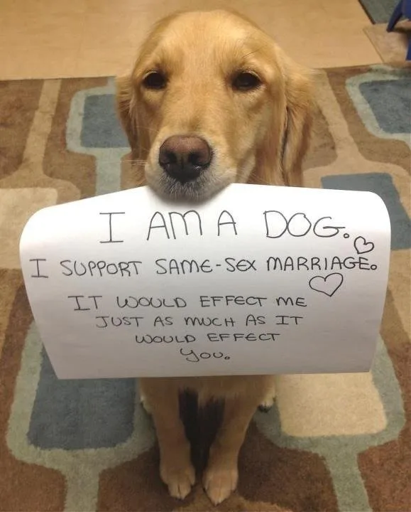 23 Best National Coming Out Day Memes & Tweets That Celebrate LGBTQ ...