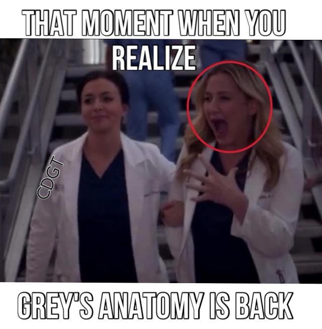 9 'Grey's Anatomy' Memes Only You & "Your Person" Will Understand