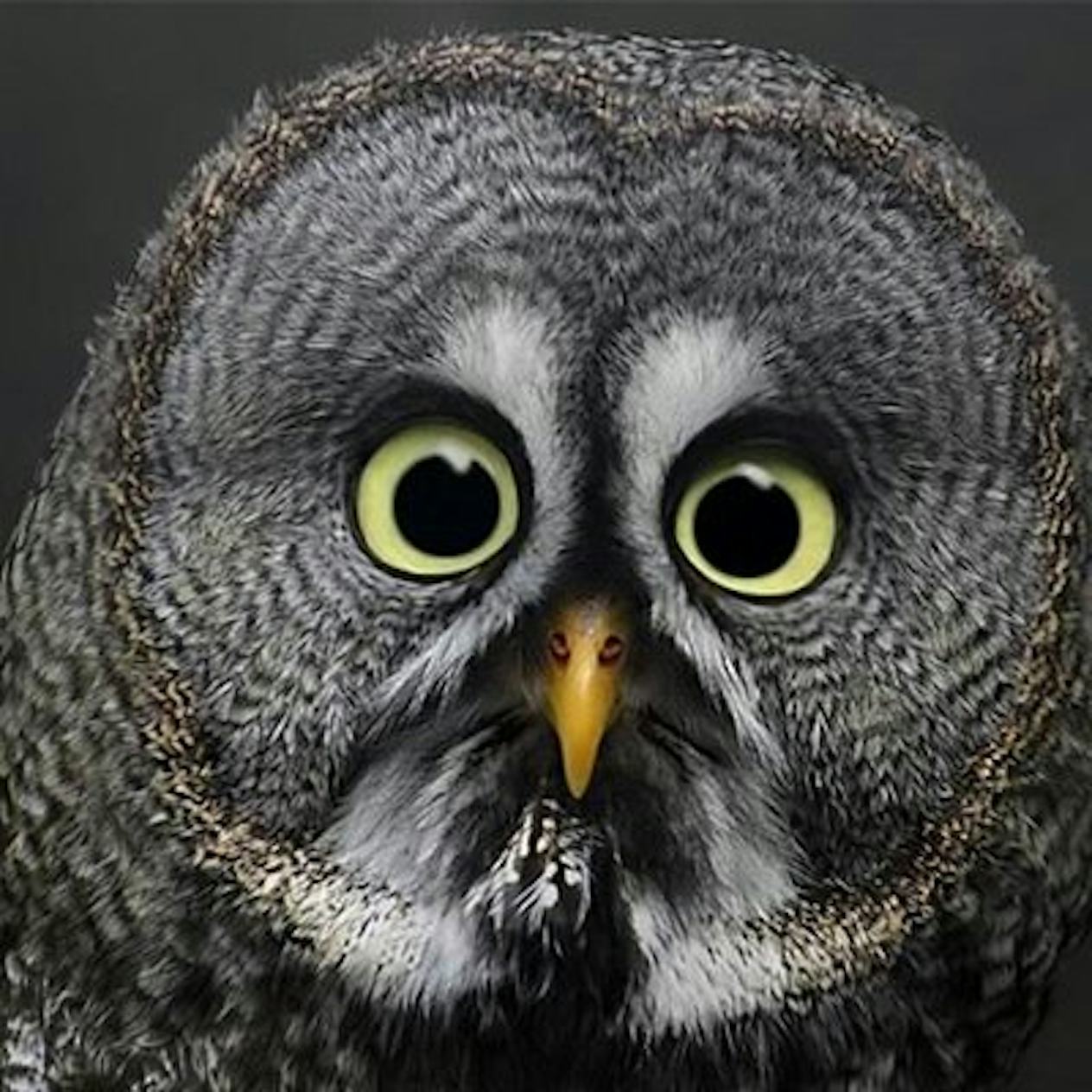 36 "Me Too" Tweets That Will Shatter You