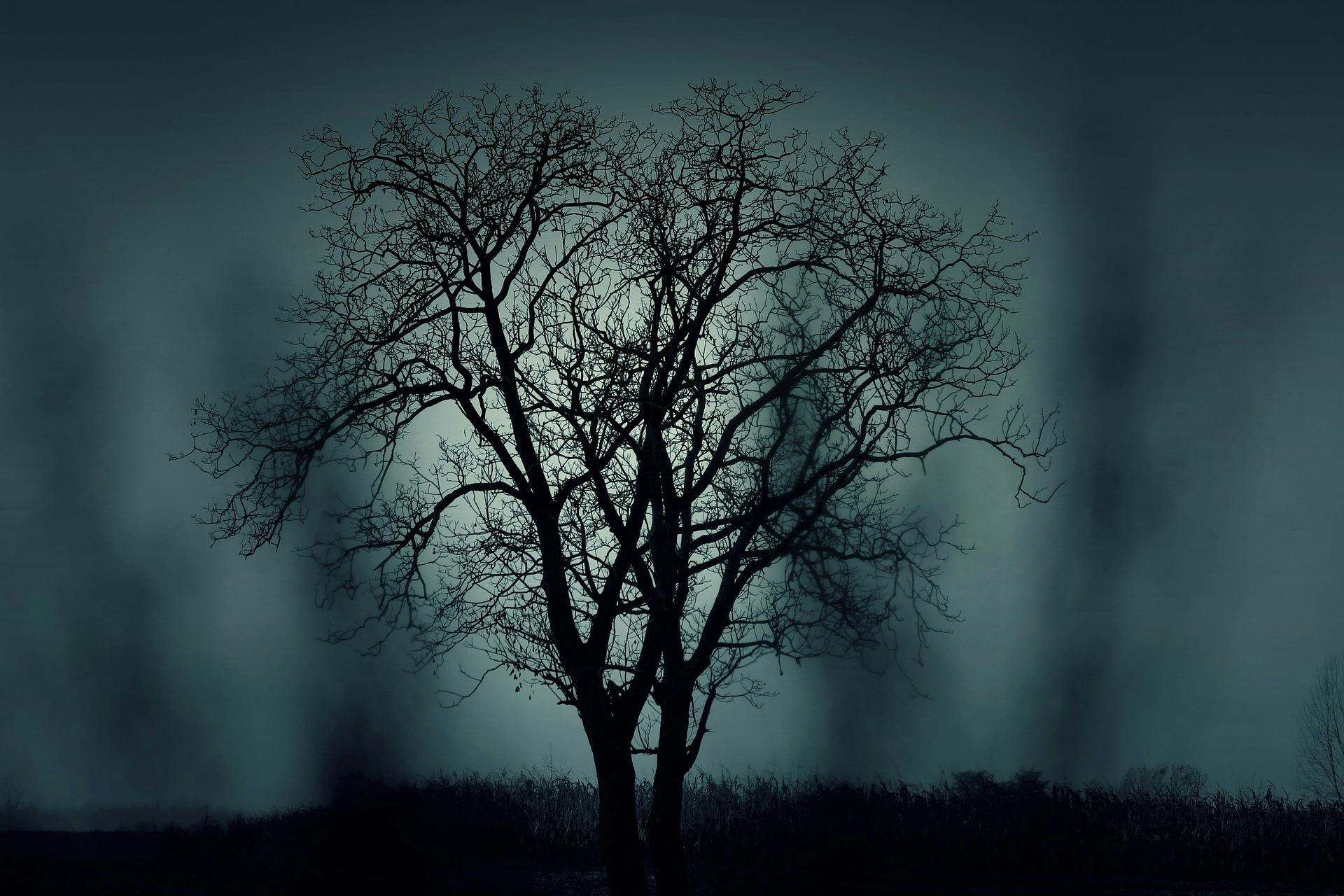 13 Horror Poems You Can Read Online Right Now