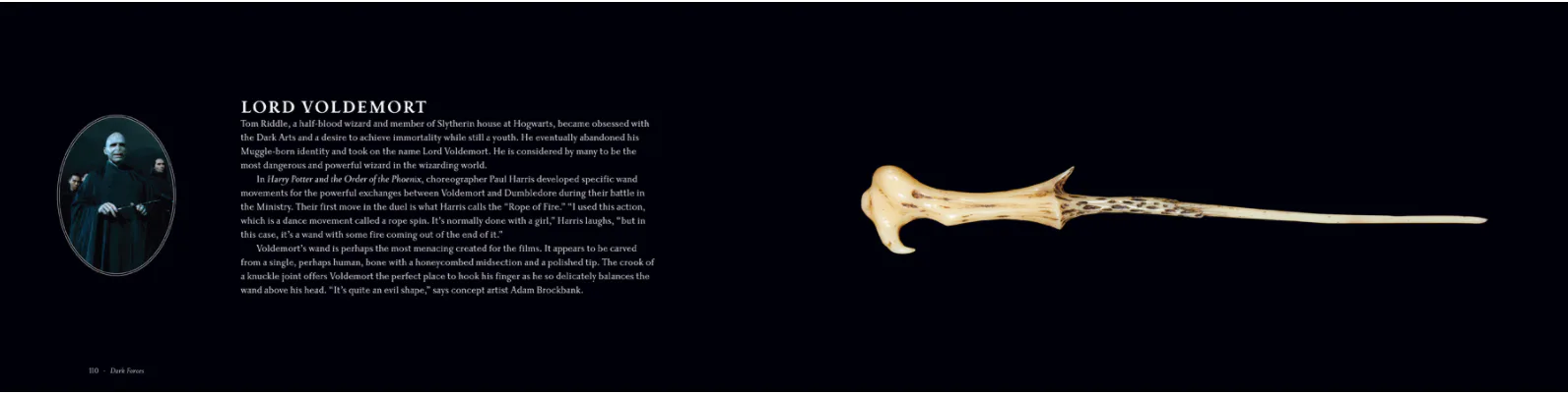 The Book Trailer For 'Harry Potter: The Wand Collection' Breaks Down ...