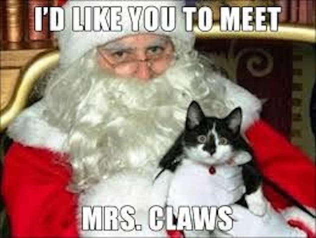 17 Hilarious Santa Memes That Are So Spot On