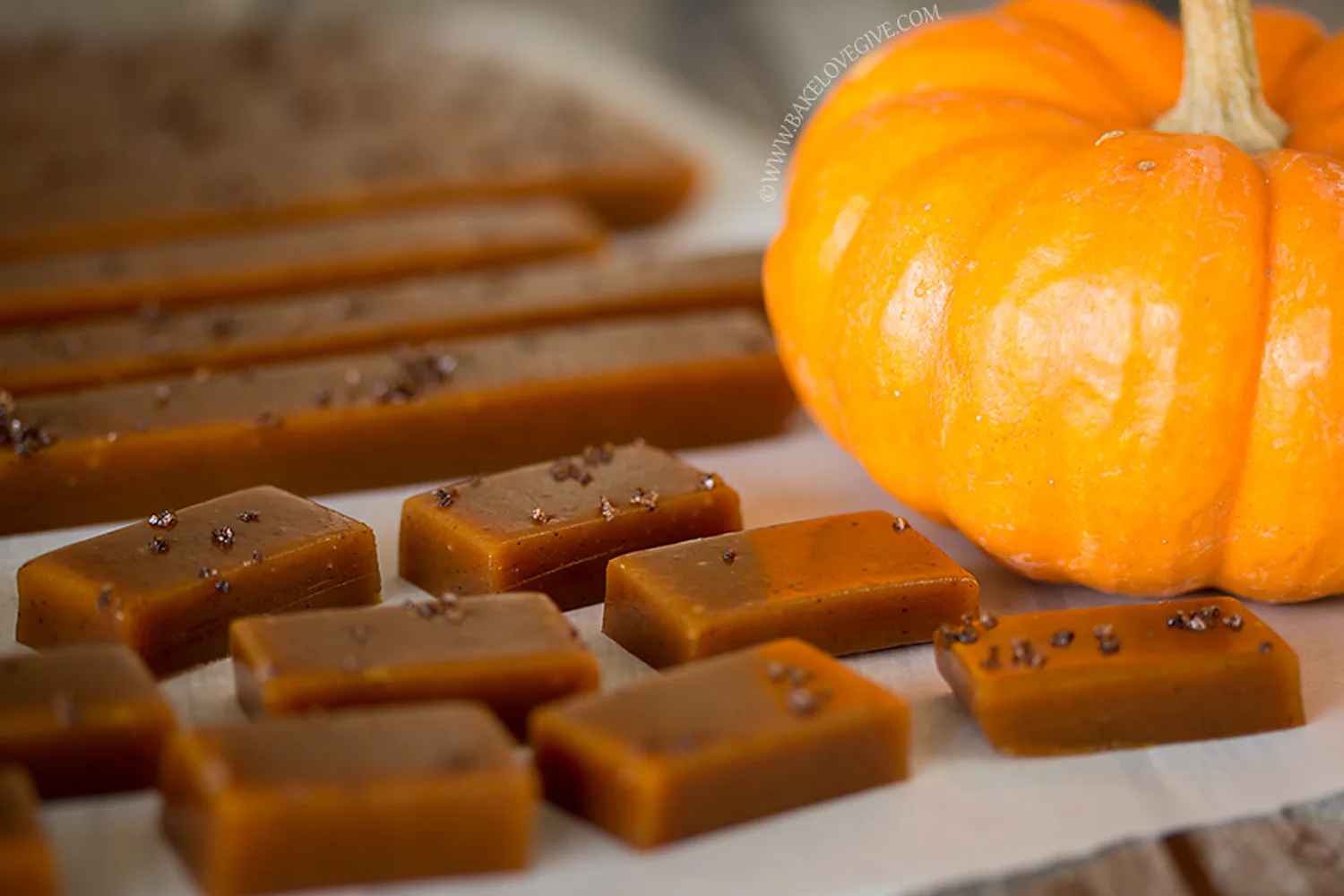 12 Easy Thanksgiving Recipes You Should Try, Based On Your Sign