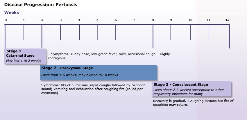 Is Pertussis The Same As Whooping Cough? It's More Severe Than It Sounds