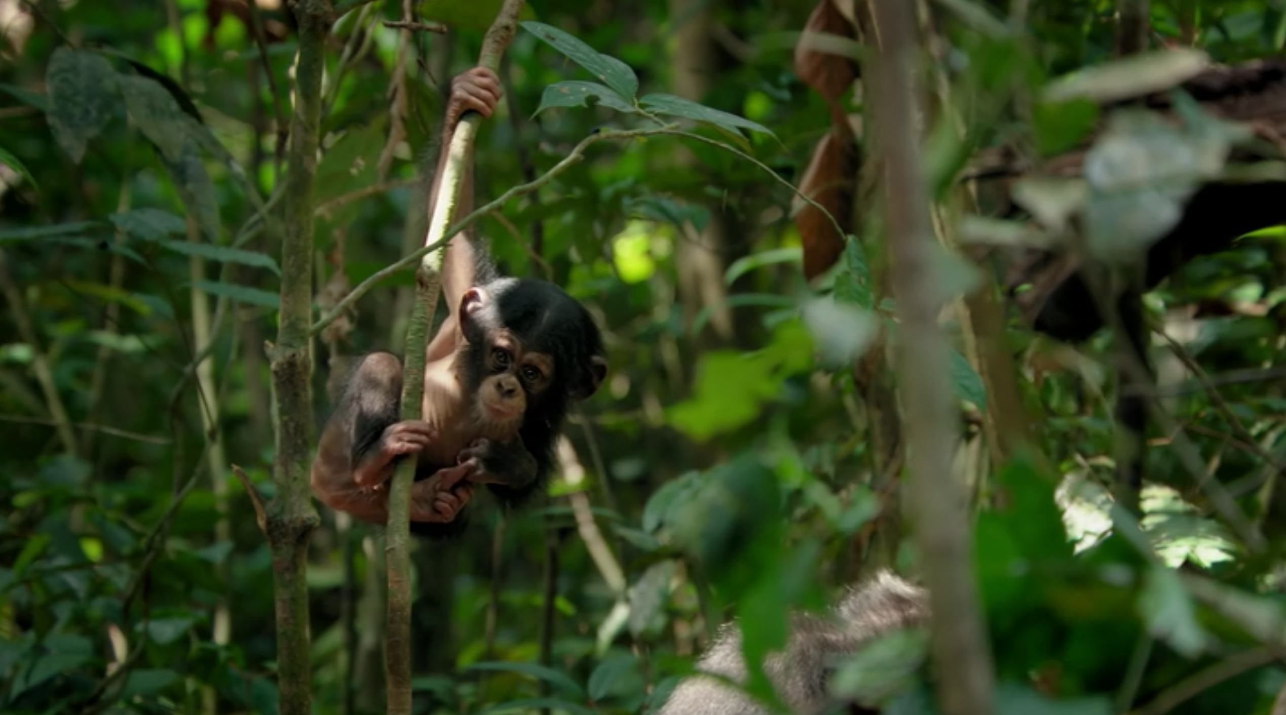 30 Movies & Documentaries On Netflix You Didn't Know You'd Love