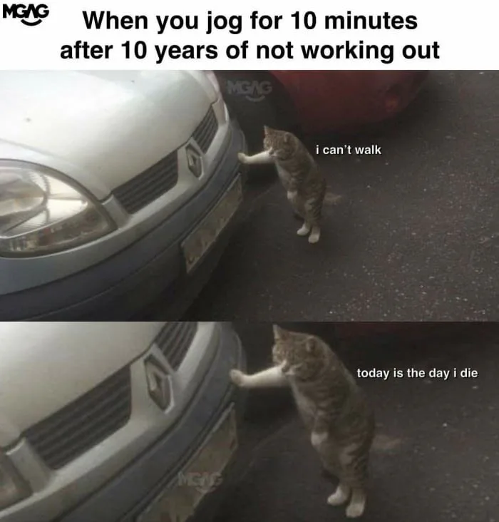 15 Memes About Going To The Gym In January, Because TBH, We're All ...
