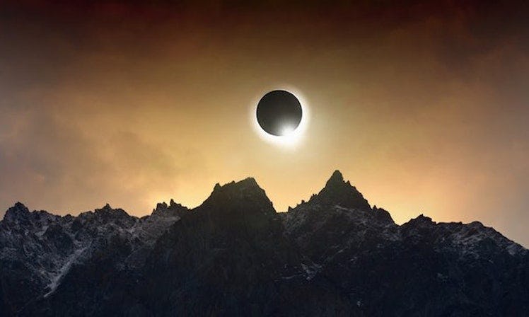 The Best Of Elite Daily: Our Favorite 50 Stories From 2017