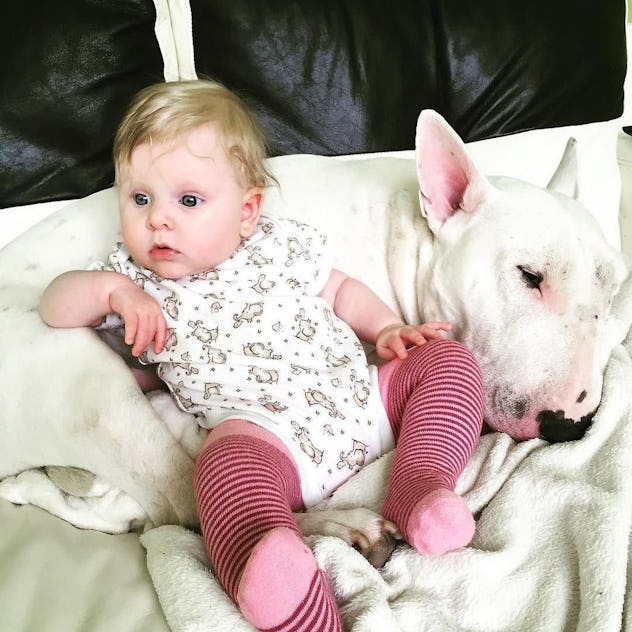 25 Adorable Photos Of Babies & Pups, Because 2018 Is The Year Of The Dog