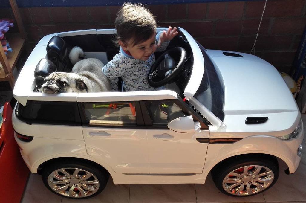 25 Adorable Photos Of Babies & Pups, Because 2018 Is The Year Of The Dog