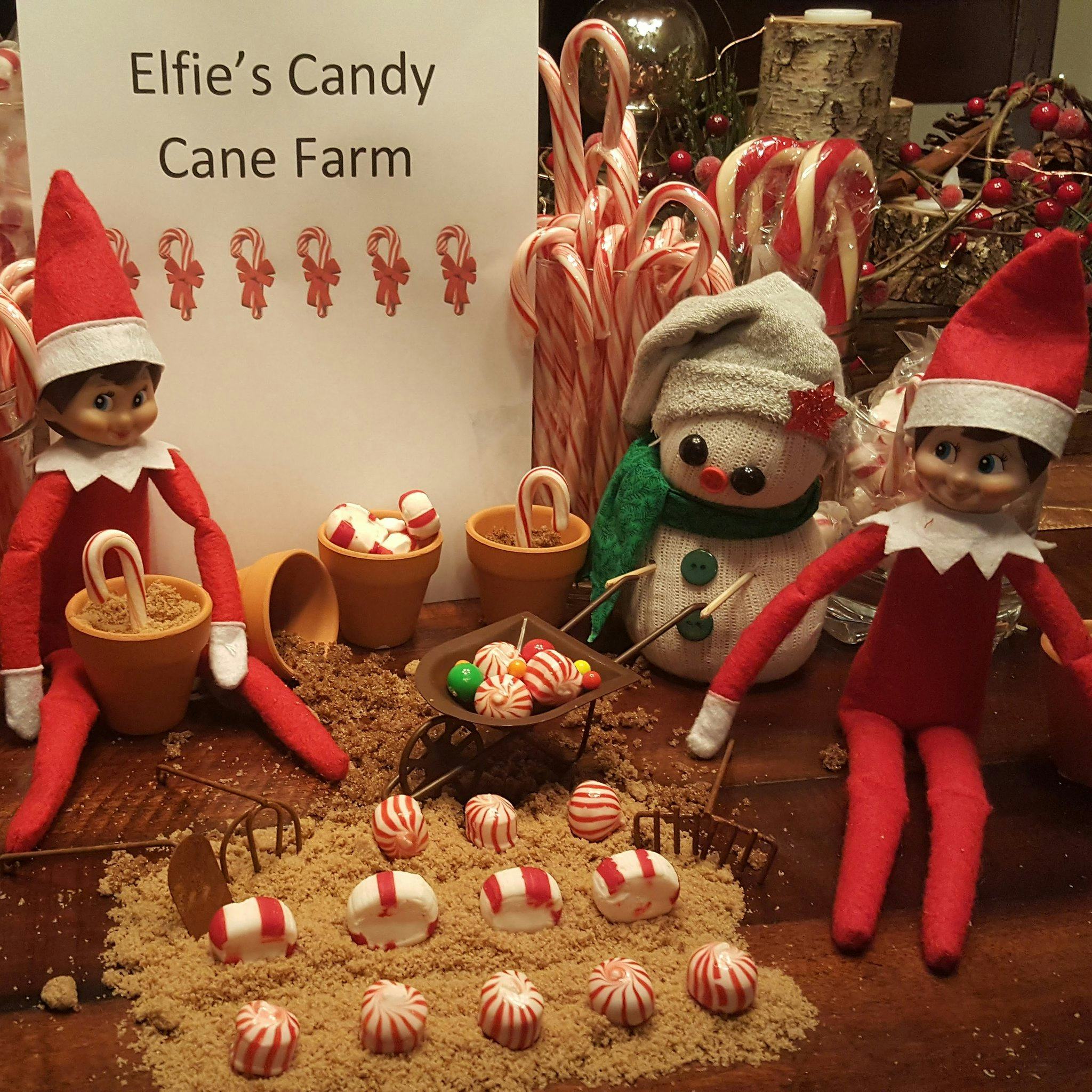 28 Elf On The Shelf Ideas Using Food, Because You've Got Plenty Of It