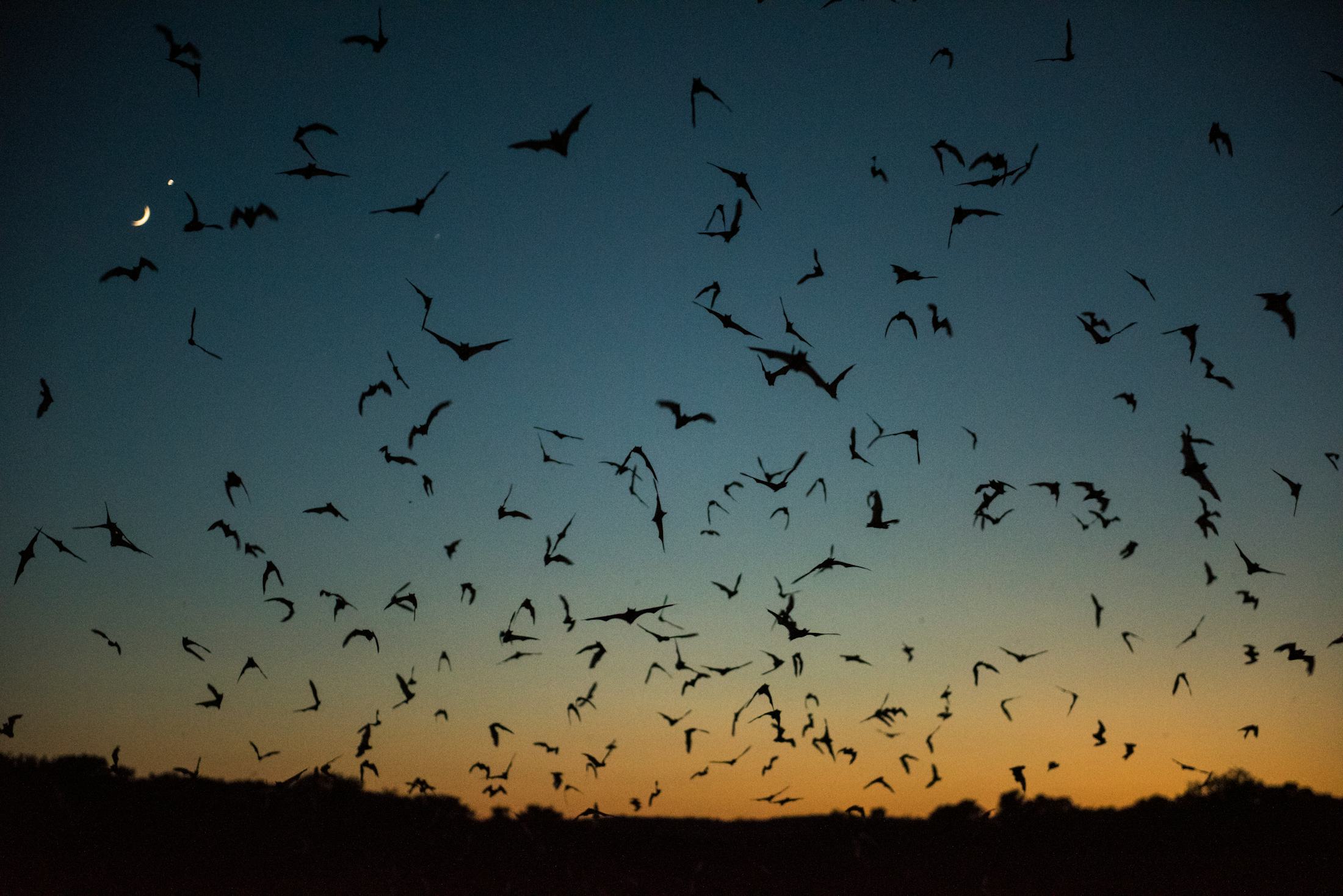 7 Weird & Awesome Day Tours That Are Worth The Trip