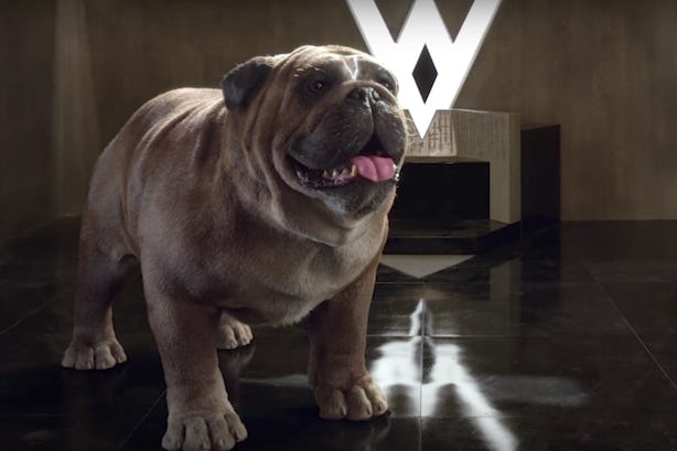 The Dog In The First 'Inhumans' Trailer Is Already A Fan Favorite — VIDEO