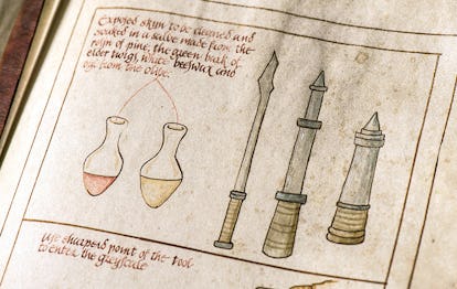 How Did Sam Cure Jorah On 'Game Of Thrones?' Greyscale Is No Match For ...