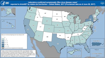 Where Is Zika In The US? Some New Mosquito Eggs Have Been Spotted