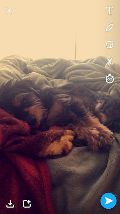 How To Use Backdrops On Snapchat So You Can Dress Your Snaps Up ...