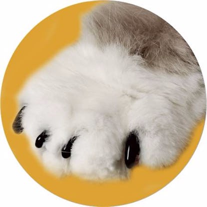 7 Adorable Manicure Ideas For You & Your Cat, Because You Can Never Be ...