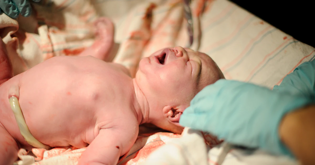 9 Amazing Facts About The Umbilical Cord Explained By Science 9 Amazing Facts About The Umbilical Cord Explained By Science