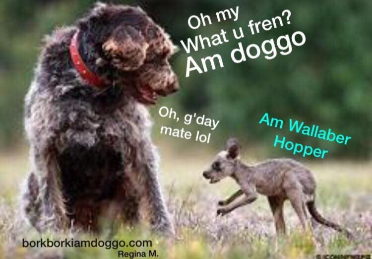 What Dogs And The “Doggo” Meme Can Teach Us About Inclusion And Consent