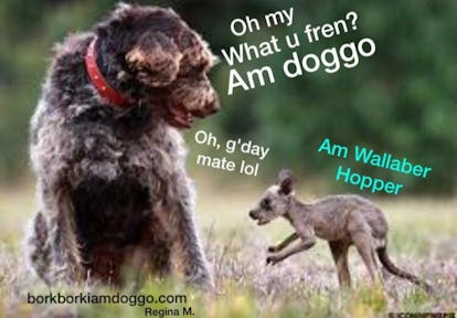 What Dogs And The “Doggo” Meme Can Teach Us About Inclusion And Consent