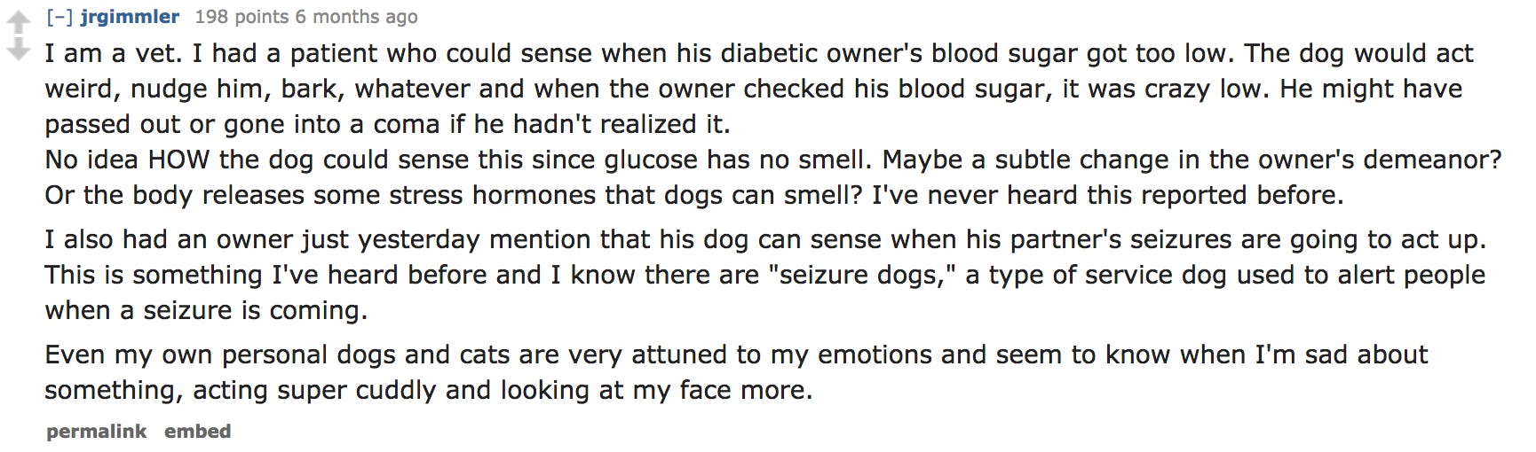 14 Stories Of Intuition Between People & Their Pets That Will Melt Your ...