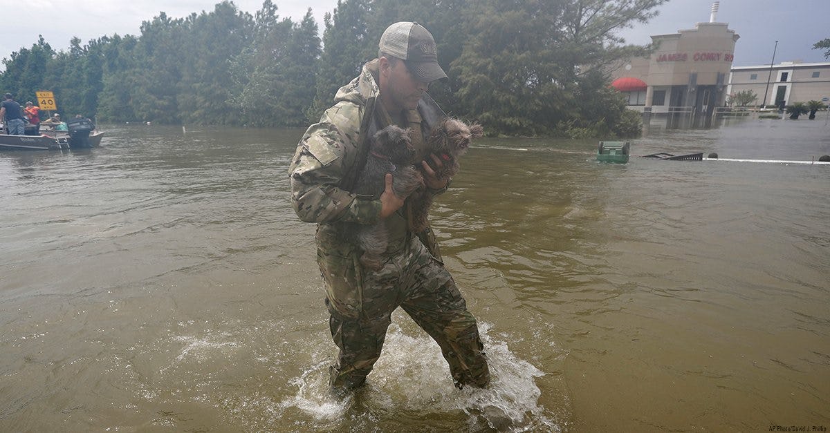 24 Texas Rescue Photos That Are The Epitome Of Courage & Compassion ...