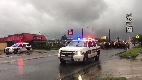 24 Texas Rescue Photos That Are The Epitome Of Courage & Compassion ...