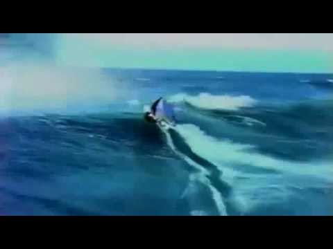 What Was The Best Capri Sun Flavor? A Definitive Ranking Of Your Fave ...