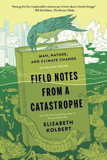 12 Books About Natural Disasters That Tell Stories Of The Lives ...