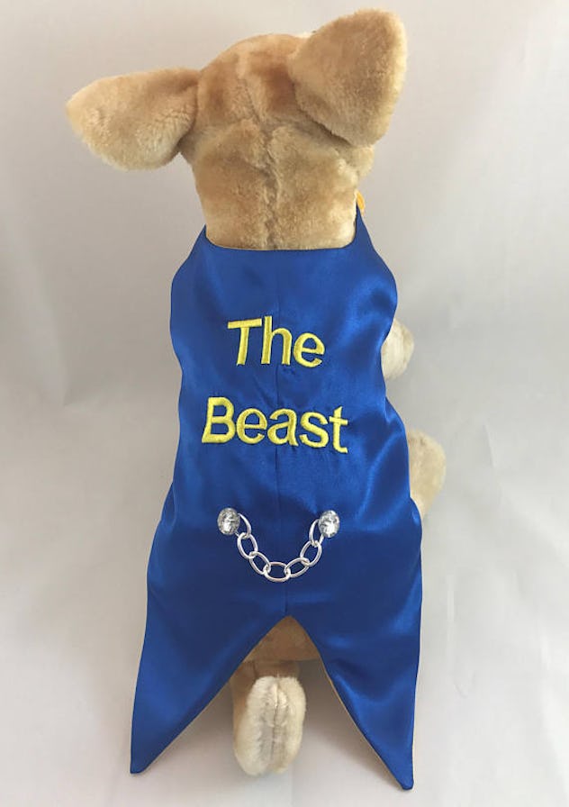 10 Halloween Costume Ideas For Kids & Their Pets That You'll Be ...