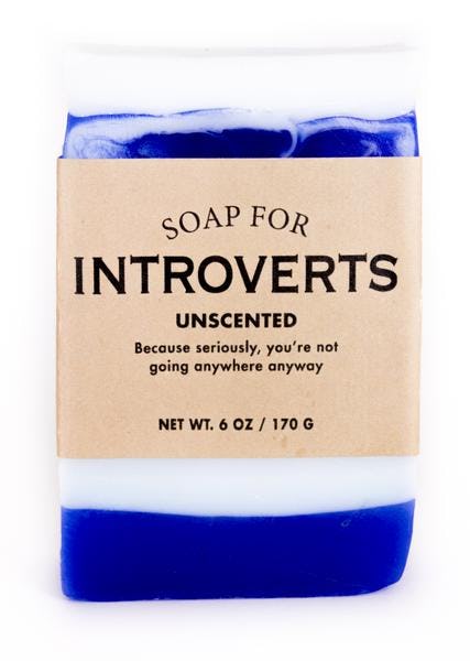 "Introvert Soap" Is Just One Of Many Hilarious, Oddly Specific Soaps To ...