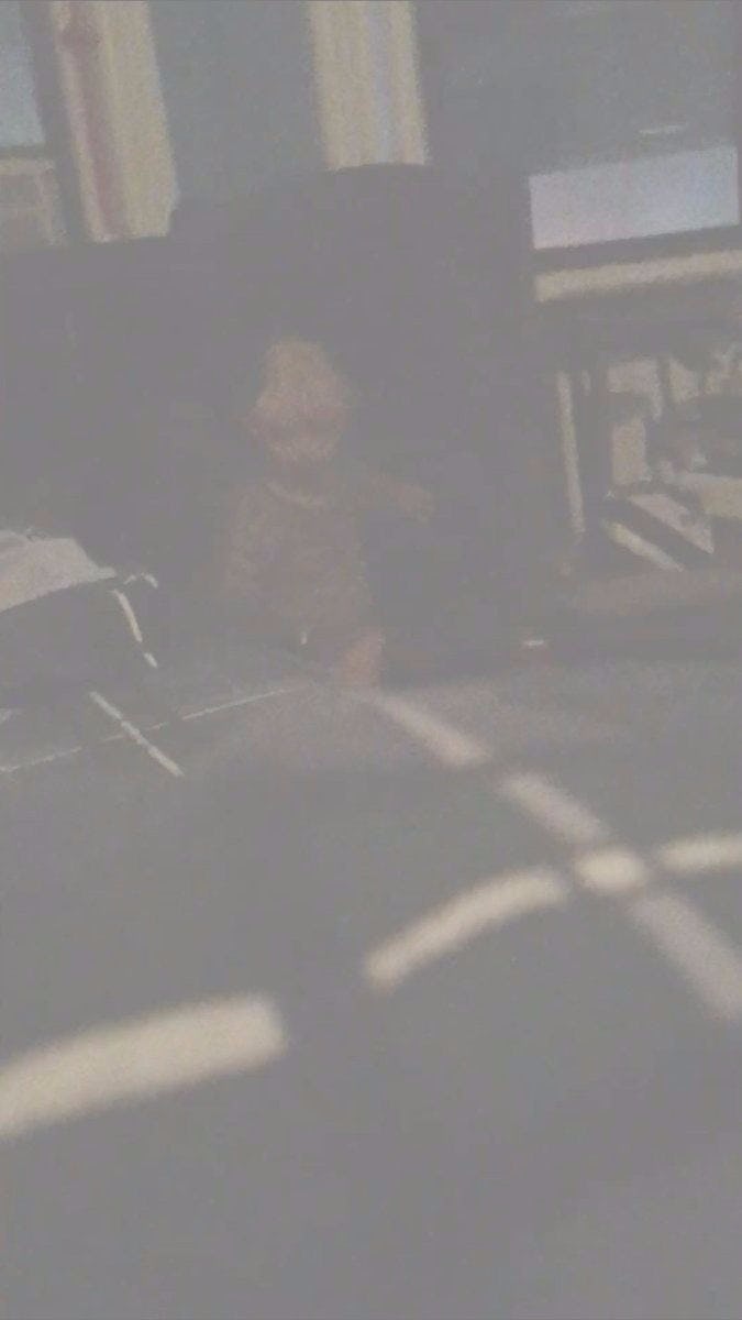 What Is “Dear David”? Everything Writer Adam Ellis Has Tweeted About ...