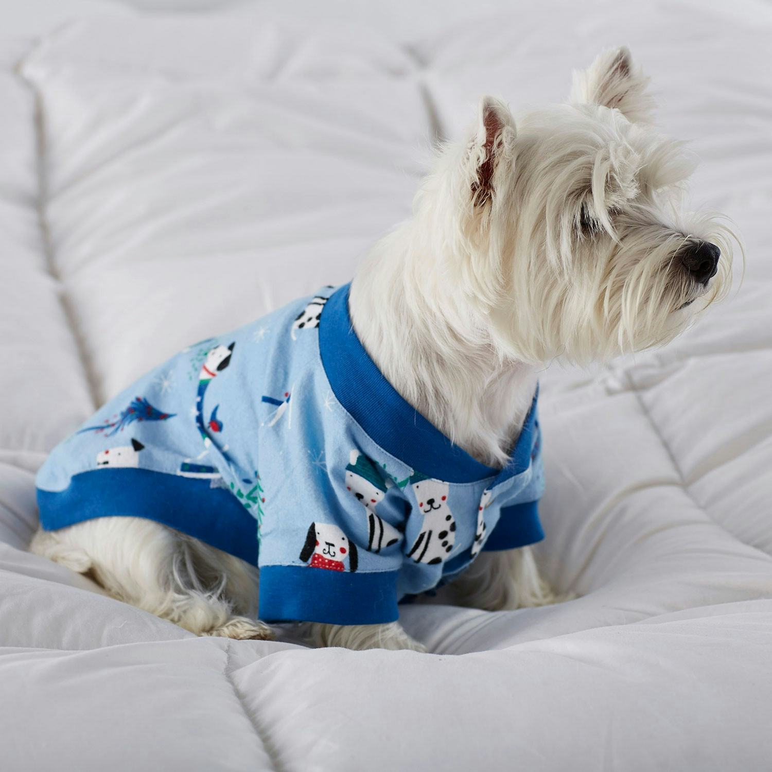 5 Dog & Owner Pajamas Meant For Your Lazy Sundays Chilling With The Fur Bae
