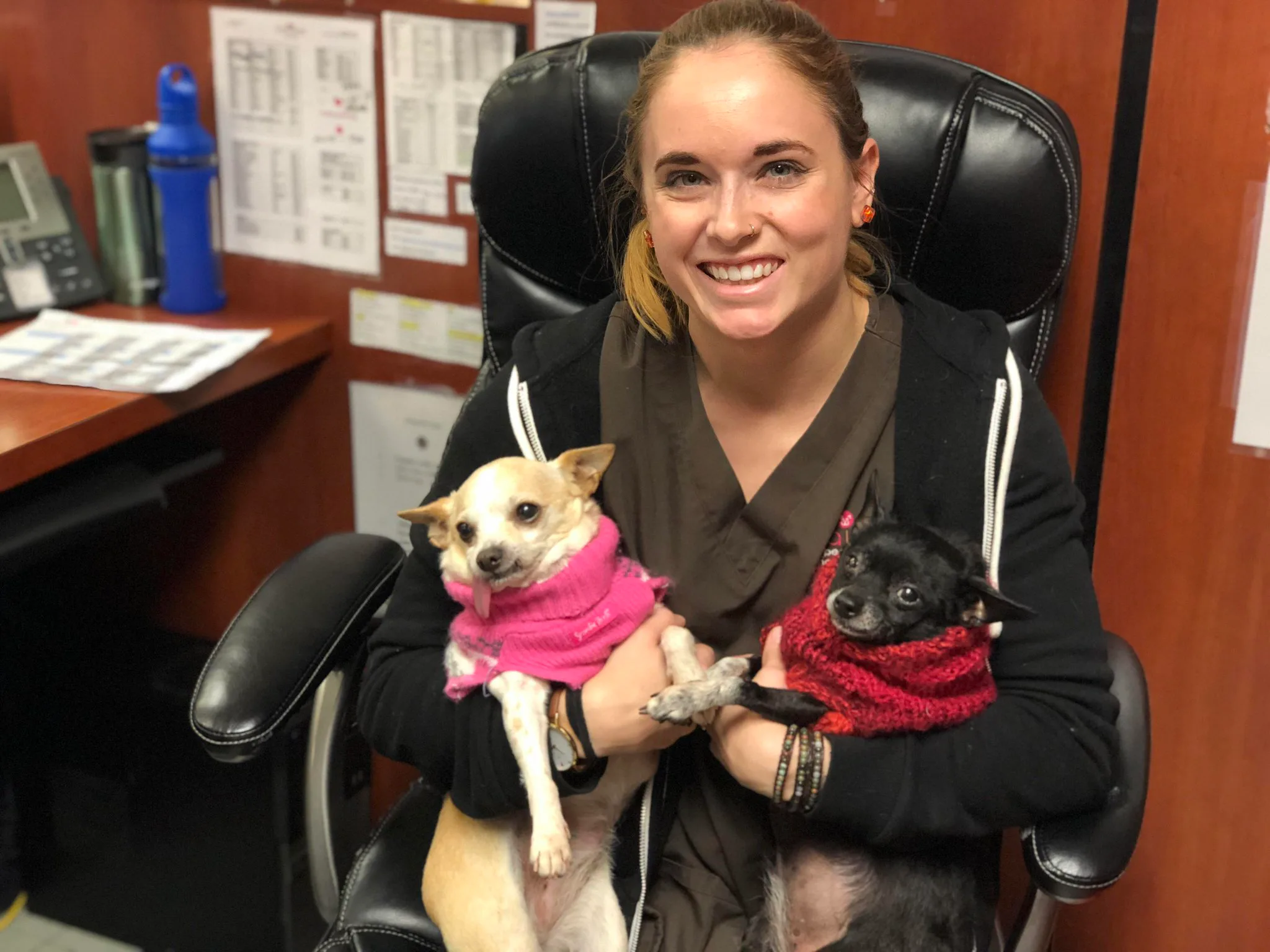 7 Animal Shelters To Volunteer At In NYC To Make More Than One Fur ...