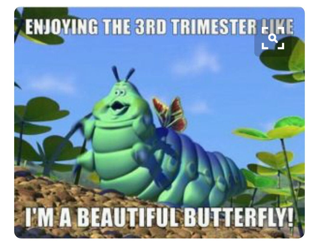 26 Hilarious Pregnancy Memes You'll Get A Kick Out Of