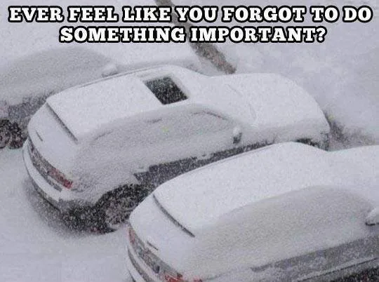 10 Best Snow Blizzard Memes That'll Keep You Warm From Laughing So Hard