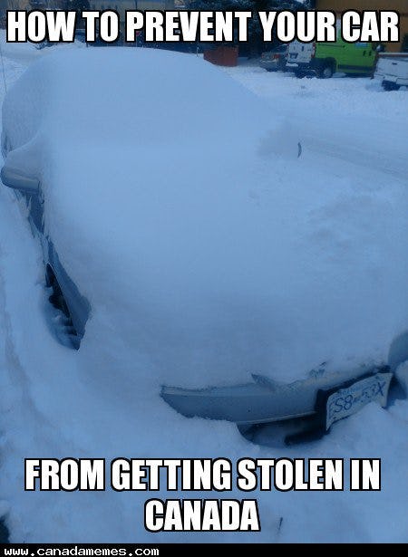 10 Best Snow Blizzard Memes That'll Keep You Warm From Laughing So Hard