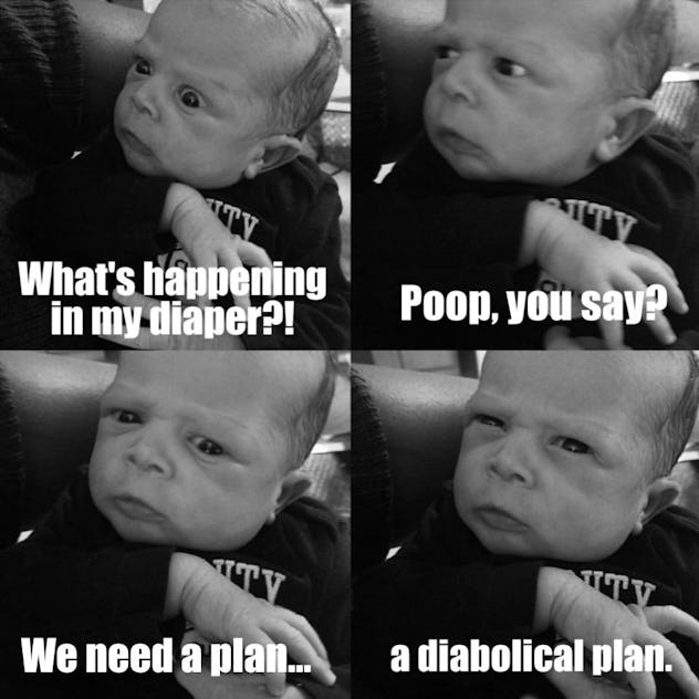 15 Hilarious Memes That Sum Up Life As A New Mom, Because It Really Is ...