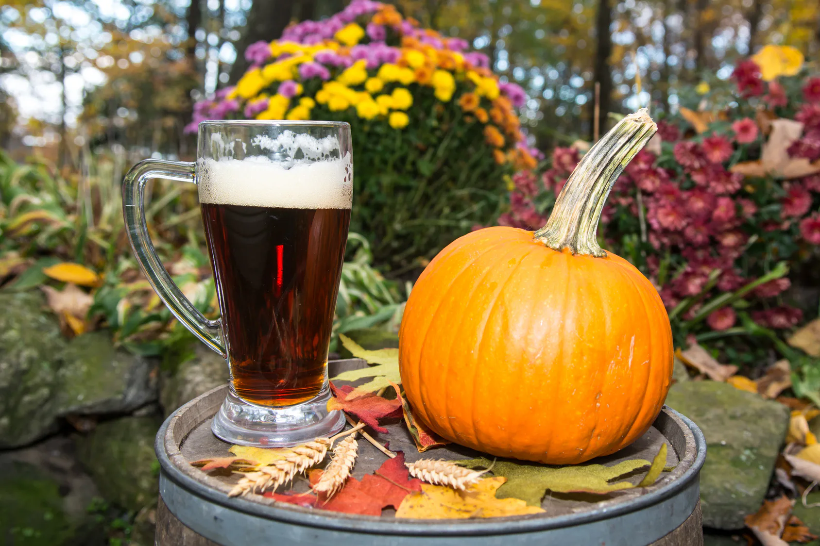 11 Fun Fall Date Ideas To Try In October 2018