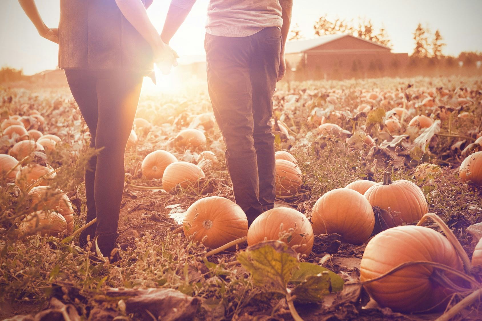 11 Fun Fall Date Ideas To Try In October 2018
