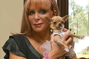 Who's The Richest Pet? These Furry Companions Make Mega-Millions