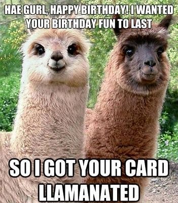 15 Funny Birthday Memes That Are So Accurate, They Take The Cake