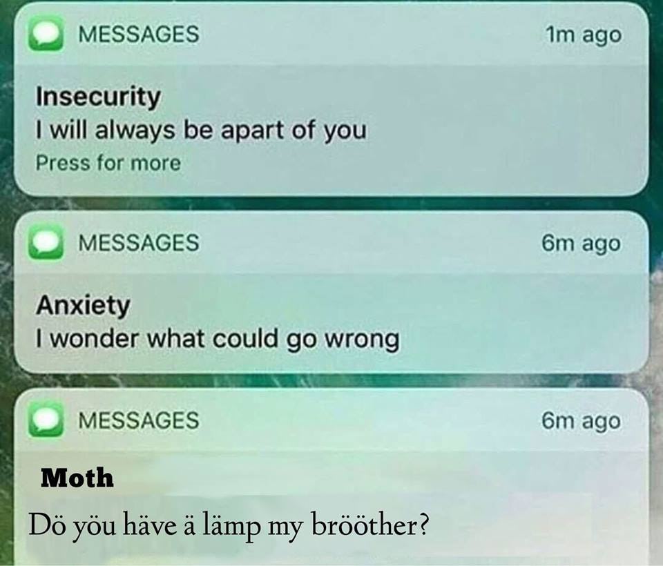 12 Moth Lamp Memes & Tweets To Further Feed Your Obsession