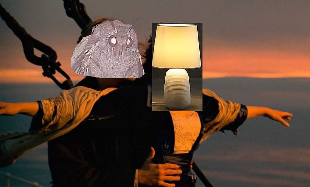 12 Moth Lamp Memes & Tweets To Further Feed Your Obsession