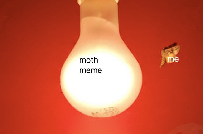 12 Moth Lamp Memes & Tweets To Further Feed Your Obsession