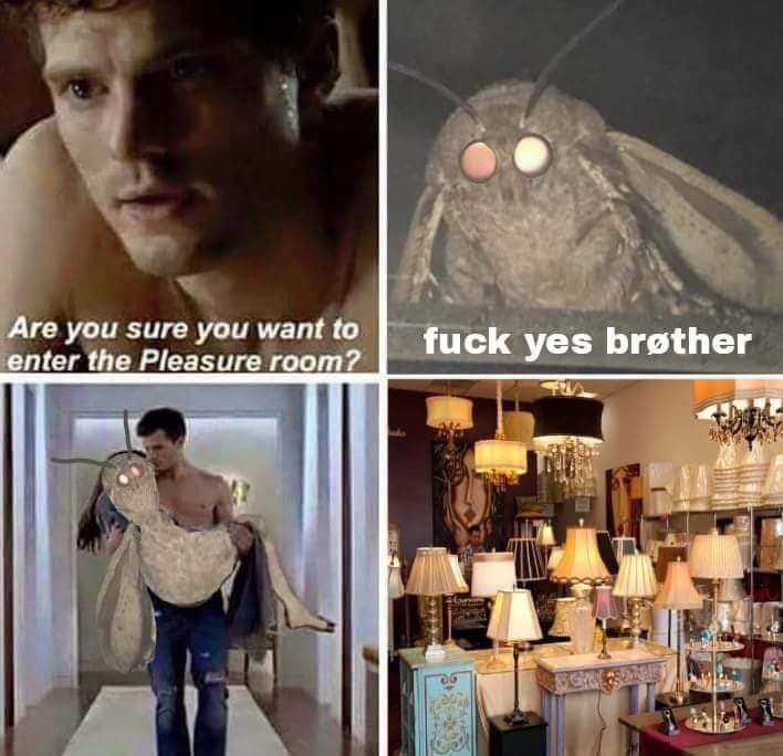 12 Moth Lamp Memes & Tweets To Further Feed Your Obsession