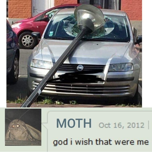12 Moth Lamp Memes & Tweets To Further Feed Your Obsession