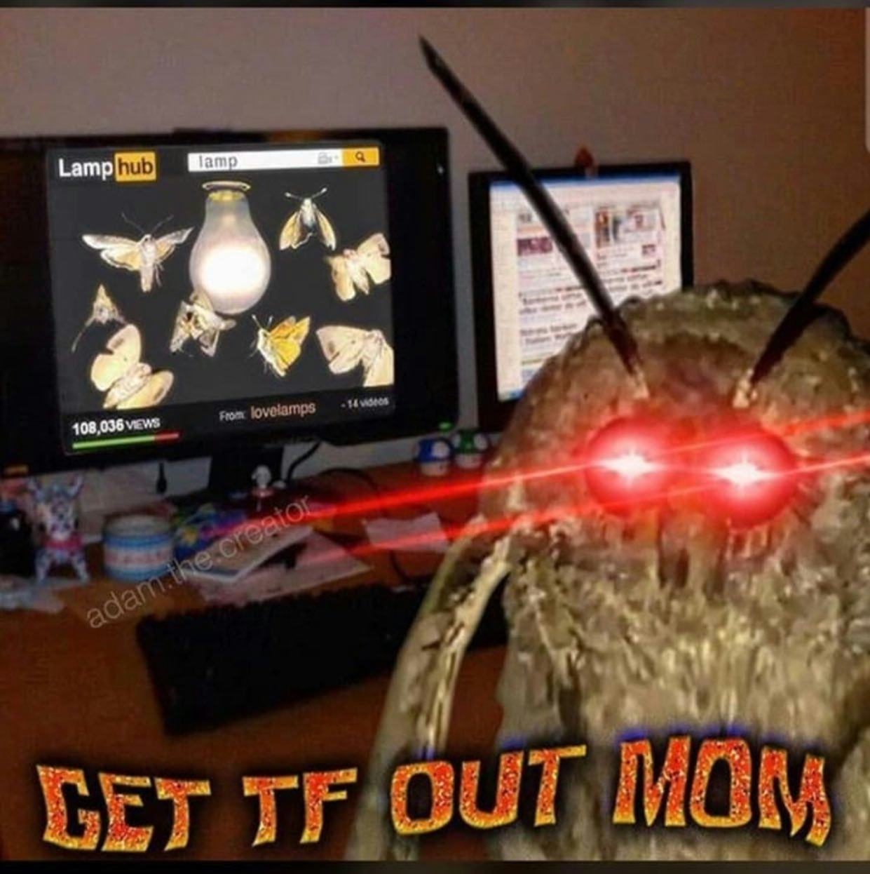 12 Moth Lamp Memes & Tweets To Further Feed Your Obsession